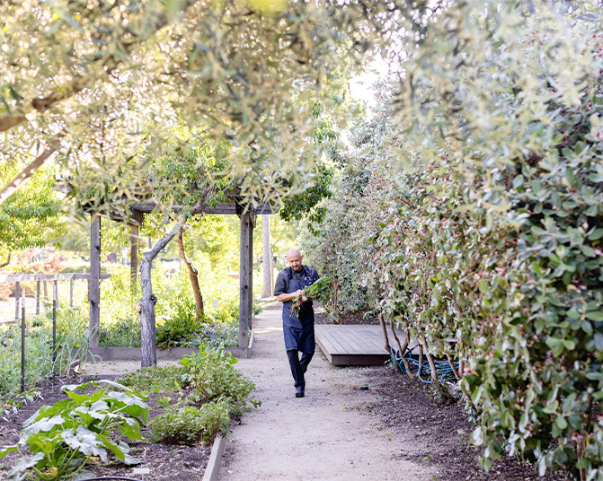 Bardessono Hotel and Spa | Luxury Spa Resorts in Napa Valley